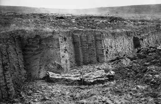 The chemistry of the bog bodies