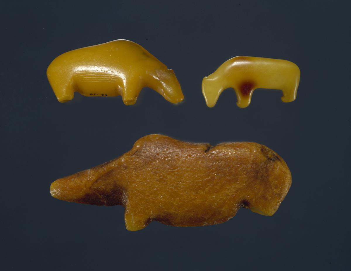 Amber from submerged settlements