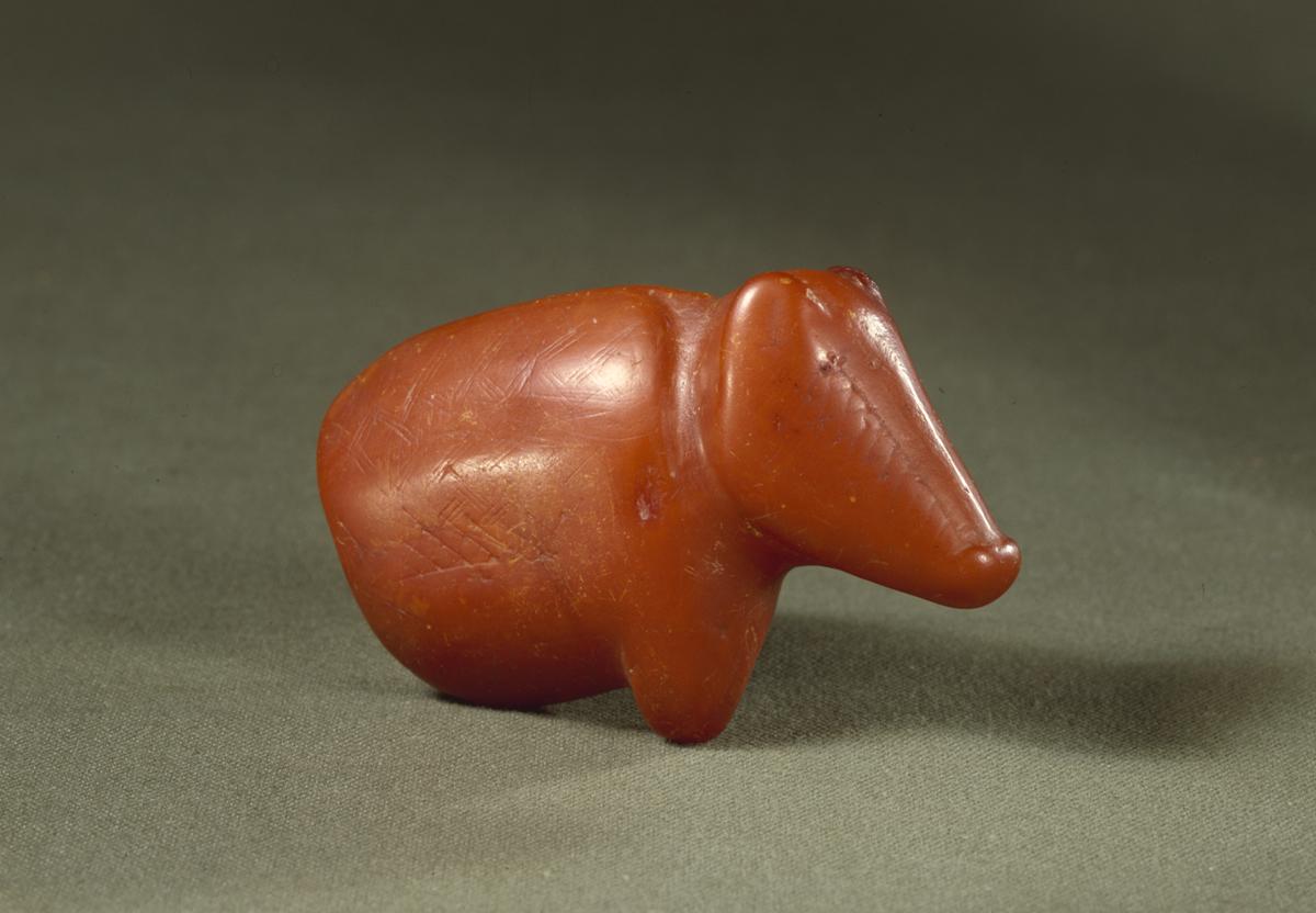 Magical amber animals