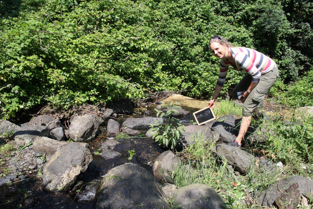 Pernille Ladegaard-Pedersen